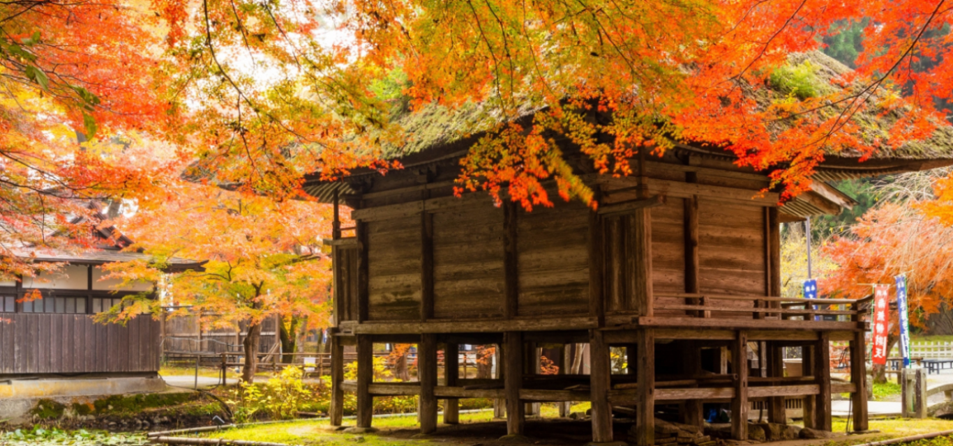 Fall in love with Fall in Japan – Japanese Autumn Colors tour - LCC DMC ...