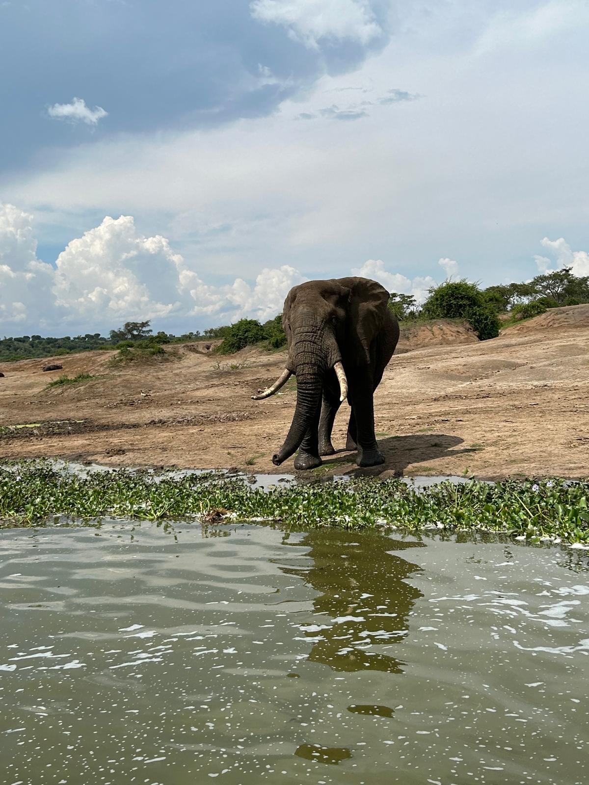 Uganda: The Pearl of Africa Unveiled - LCC DMC Network